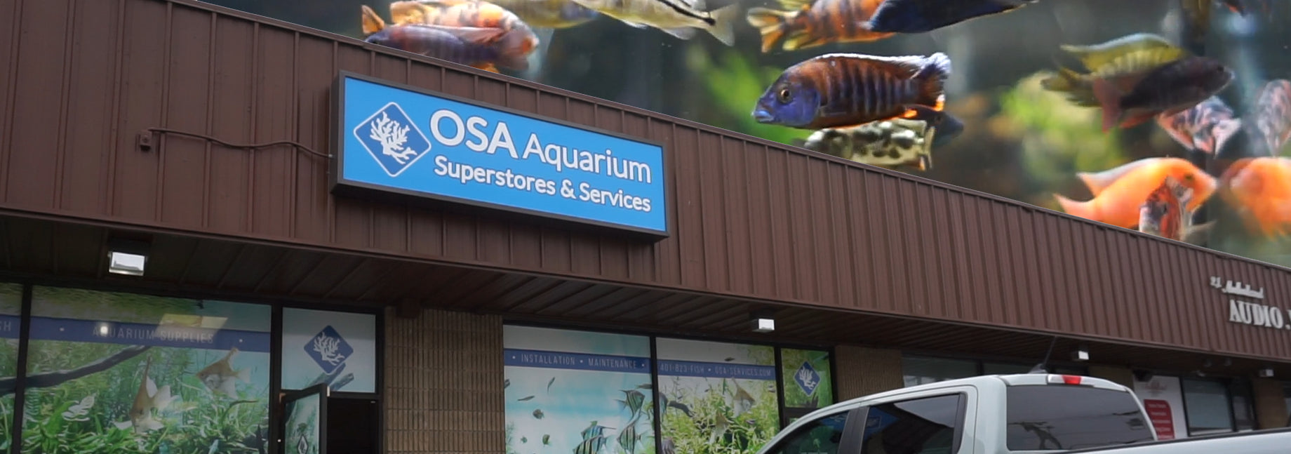 OSA Seekonk, MA - OSA Aquarium Superstore & Services