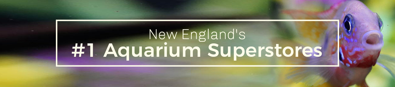 OSA Choice - New England's # 1 Aquarium Superstores