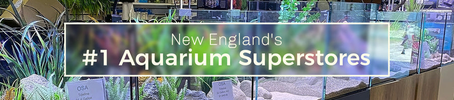 OSA Choice - New England's # 1 Aquarium Superstores