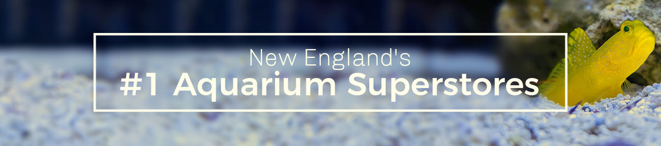 OSA Choice - New England's # 1 Aquarium Superstores