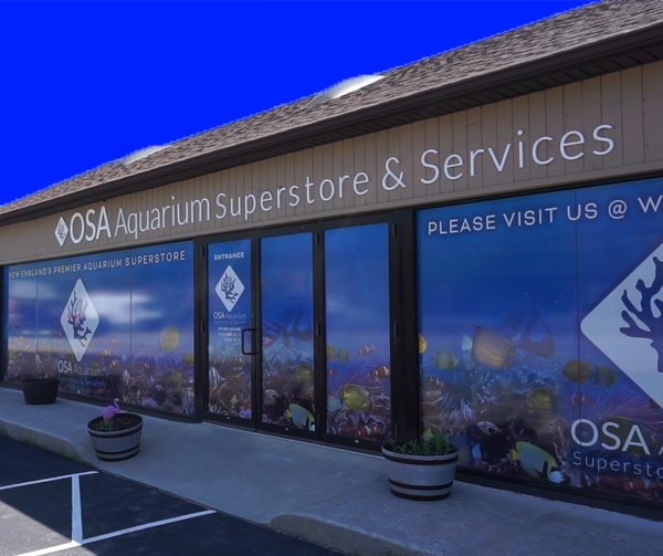 OSA Choice - New England's # 1 Aquarium Superstores