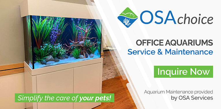 OSA Choice - New England's # 1 Aquarium Superstores